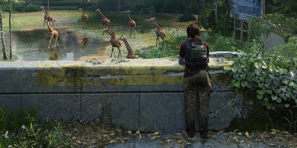 Multiplayer vs Single-Player Games: Finding Your Perfect Way to Play ...
